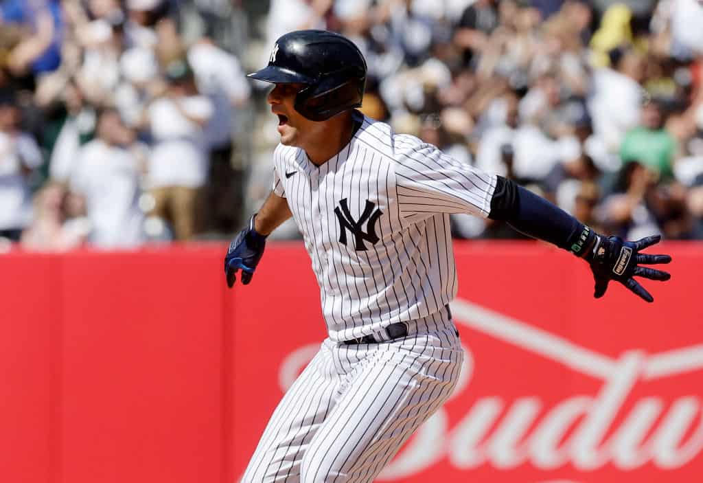 Yankees Fans Celebrate A Surprising Star From May